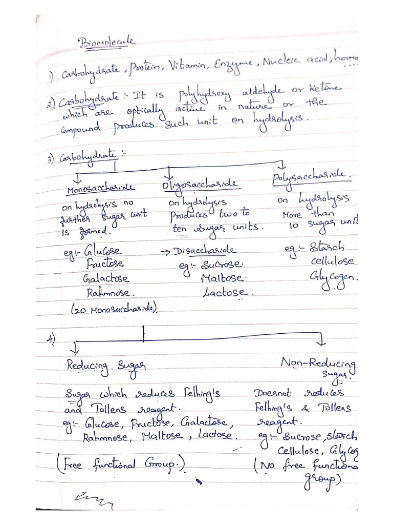 Biomolecules-Short Notes | PDF
