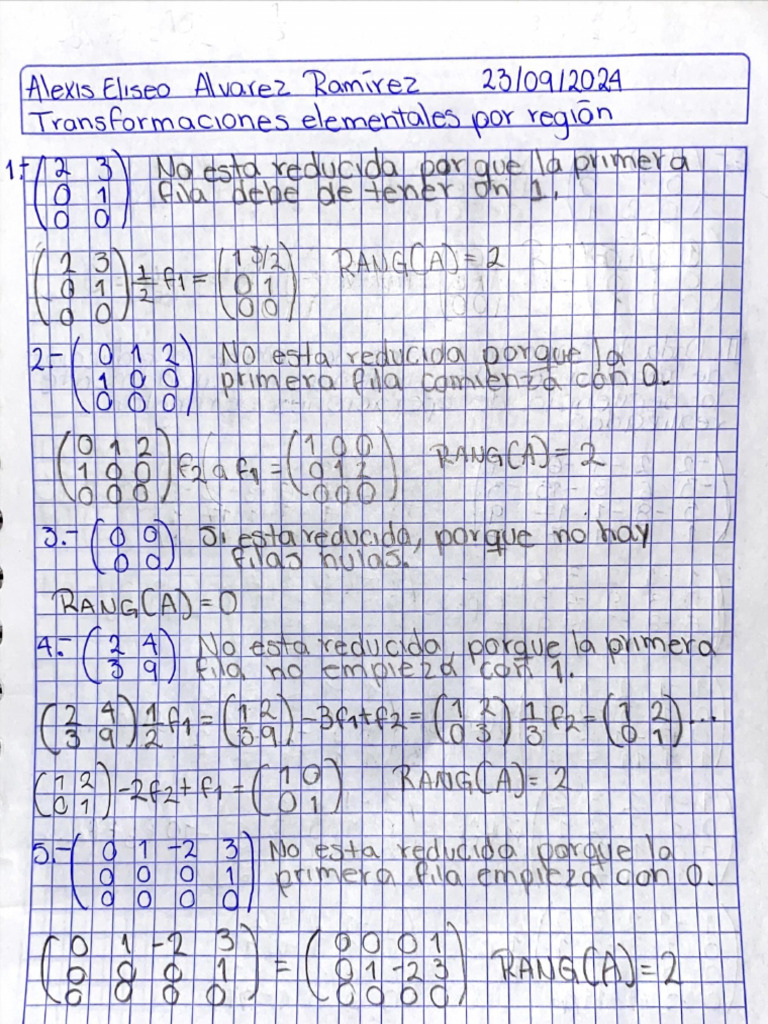 Alexis Alvarez Act3.MatricesYDeterminantes | PDF
