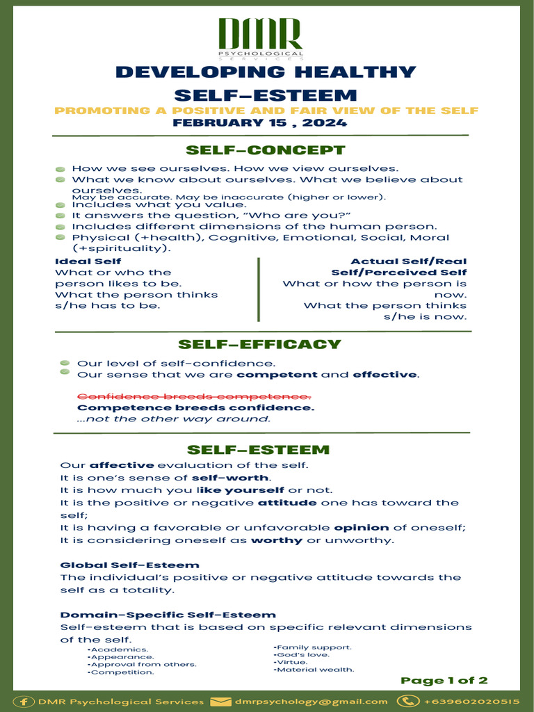 DMR Developing Healthy Self-Esteem | PDF | Self Esteem | Self Concept