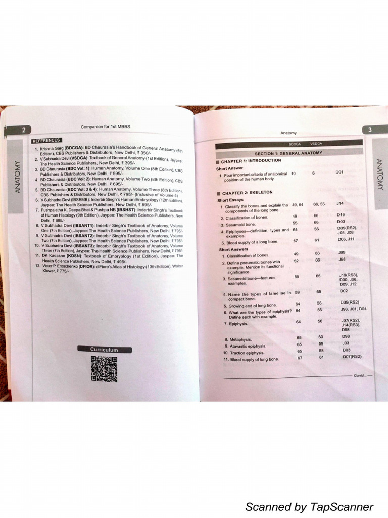 Anatomy Singi RS4 PDF | PDF