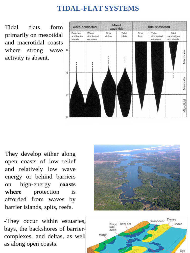 Tidal Flat | PDF | Sedimentary Rock | Deposition (Geology)