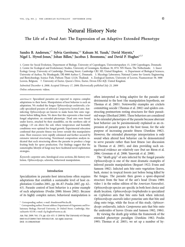 Ant Behavior Manipulation by Fungal Parasite | PDF | Fungus | Ant