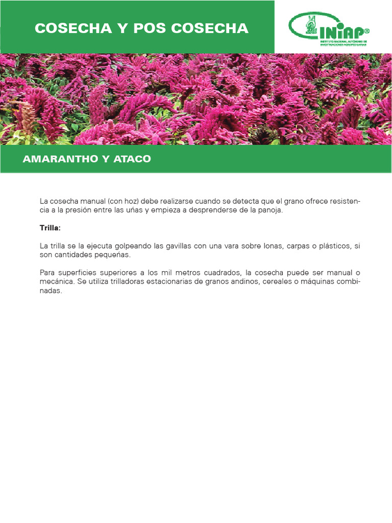 10 Cosecha | PDF