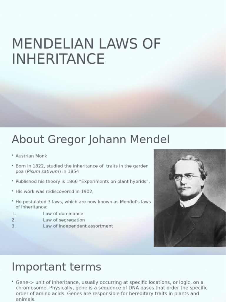 Mendelian Genetics | PDF | Dominance (Genetics) | Allele