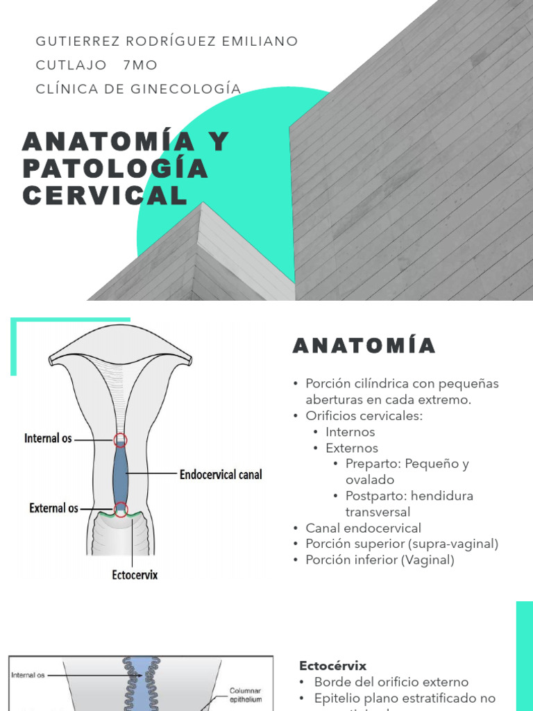 Anatomía y Patología Cervical | PDF | Causas de la muerte ...