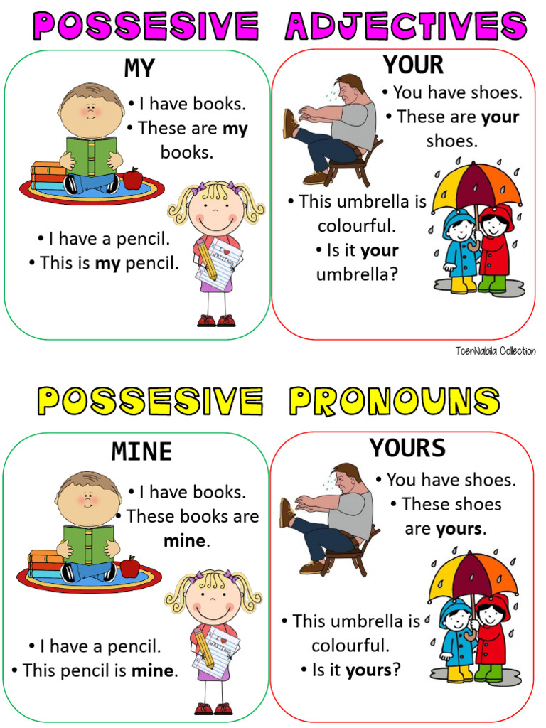 Possesive Pronouns Flashcards | PDF