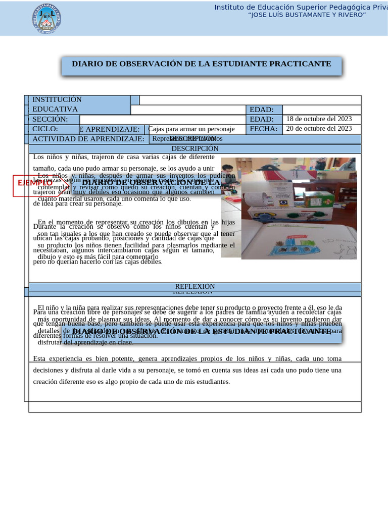 12 Diario de Observacion de La Estudiante | PDF | Aprendizaje