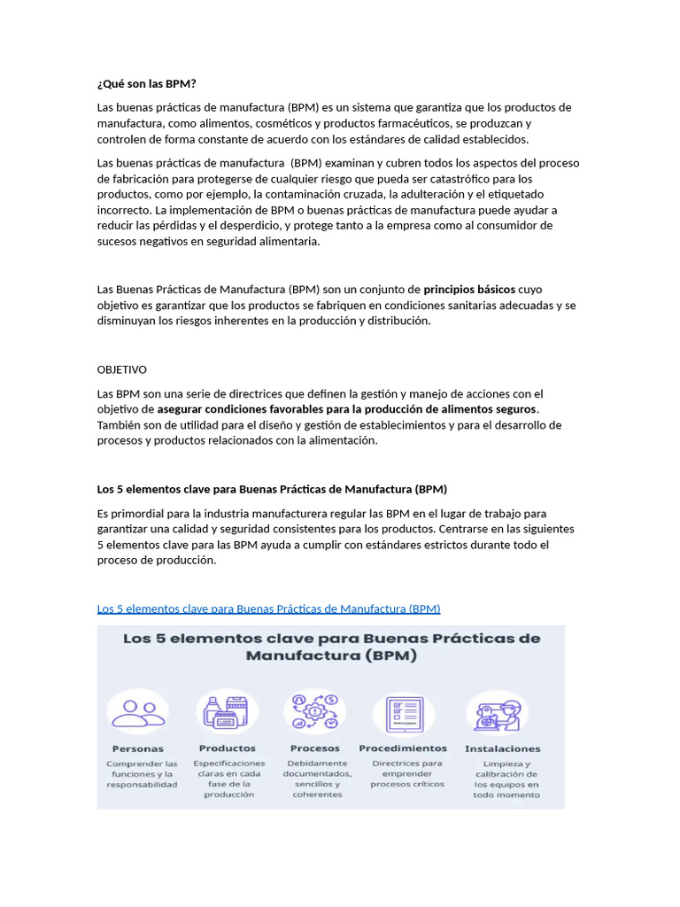 Qué Son Las BPM | PDF