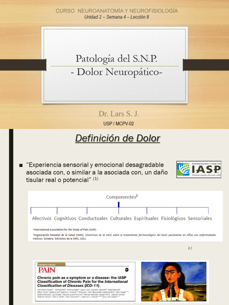 LECCION 8 ASINCRONICA - Patología Del SNP Dolor Neuropático Localizado ...