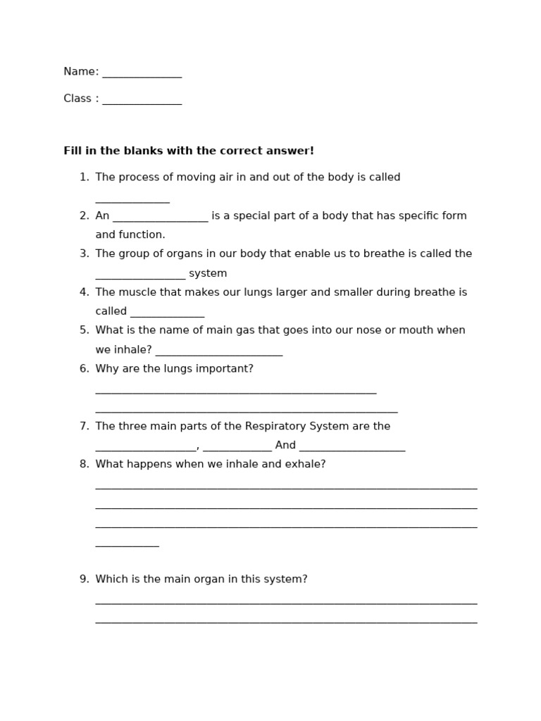 Worksheet Science The Respiratory System | PDF | Breathing ...