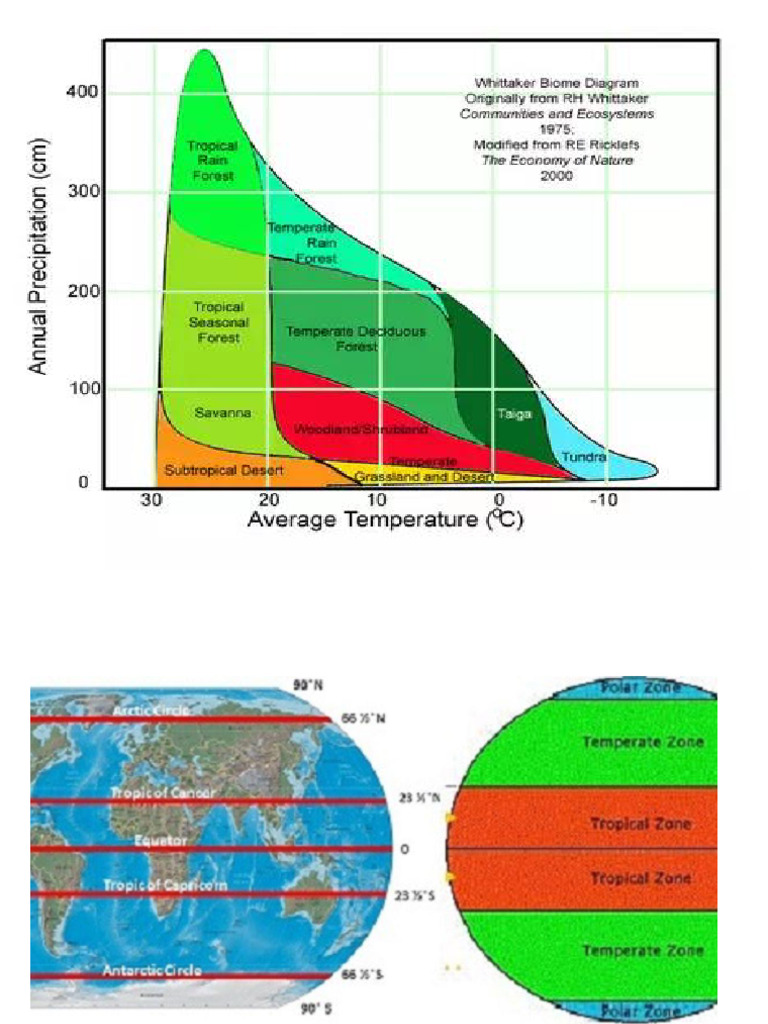 Biome - Prashant Kumar Tiwari | PDF