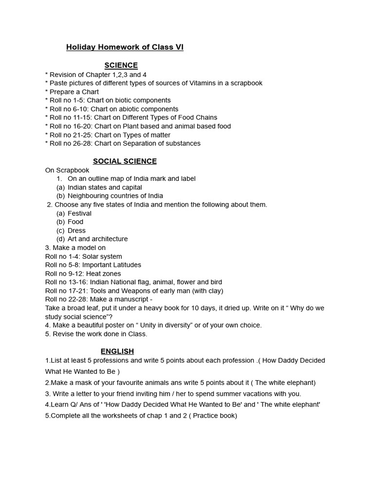 Class VI Holiday Homework | PDF