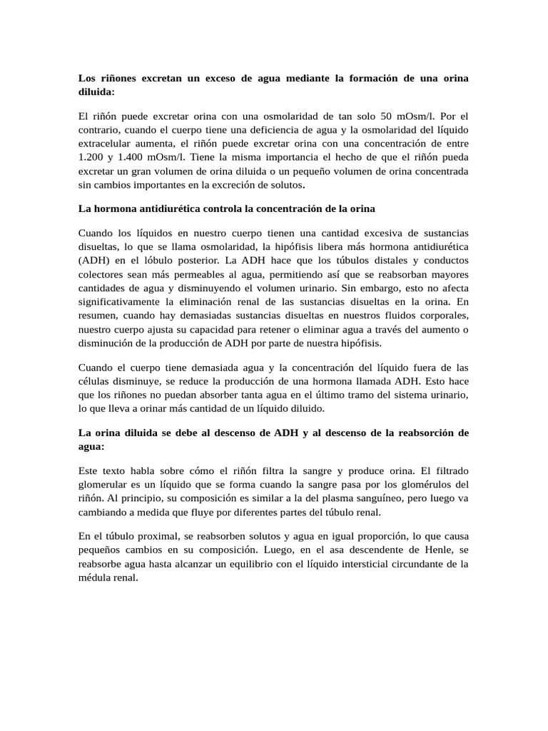 Documento Riñones Fisio Ani | PDF | Riñón | Orina