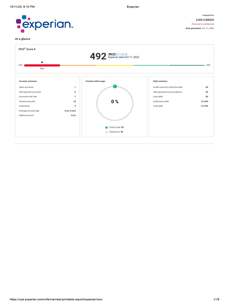 Experian Luis | PDF | Credit | Finance & Money Management
