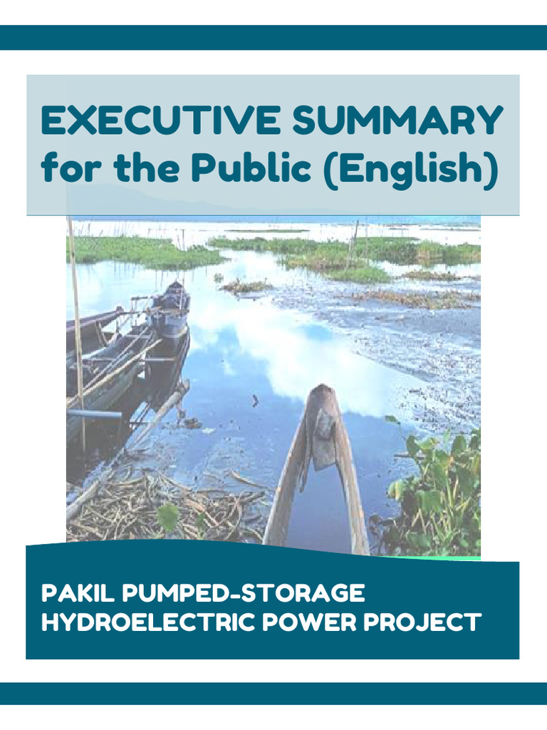 Pakil 1400MW Hydroelectric Project Summary | PDF | Energy Storage ...