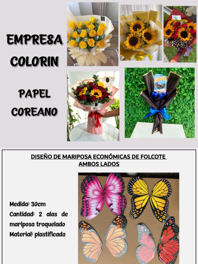 Papel Coreano - 30092024 | PDF