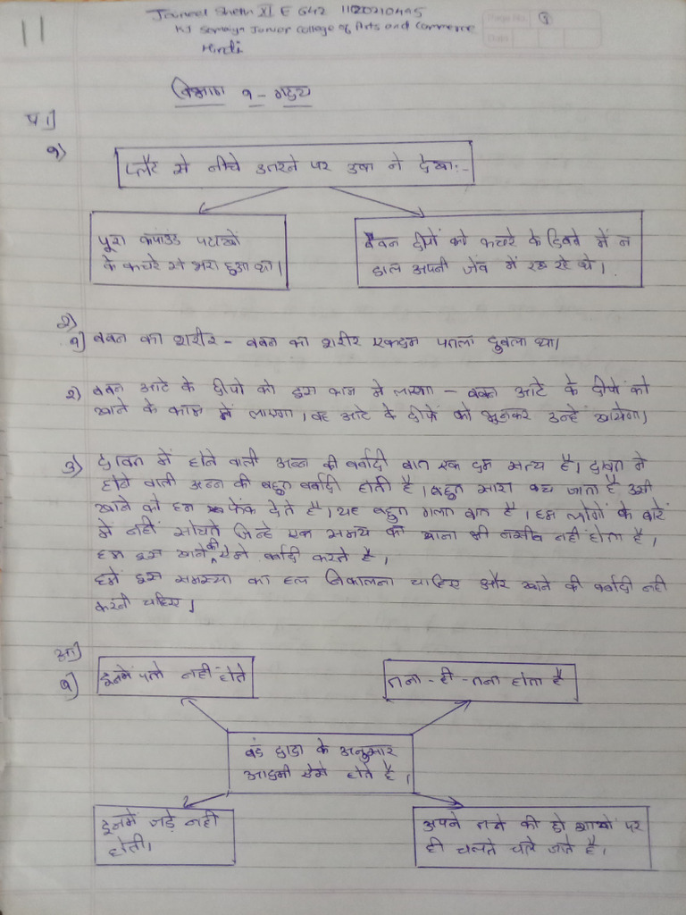 Jaineel Sheth 11 E 642 Hindi | PDF