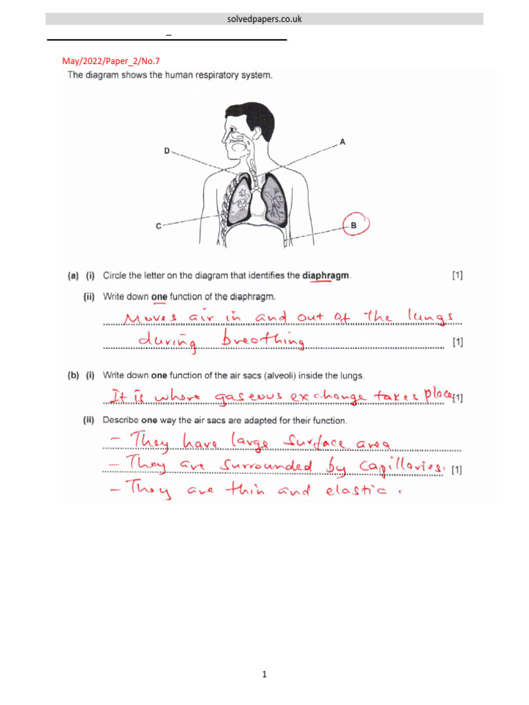 2022 17 Respiration and Breathing Checkpoint Sec 1 Biology Solved | PDF ...