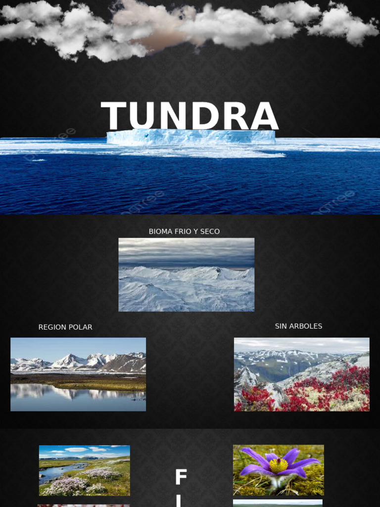 Ecosistema TUNDRA | PDF