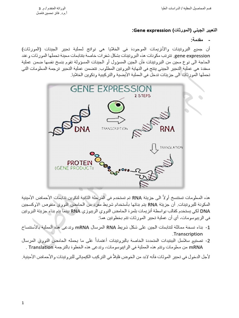Gene Expression | PDF