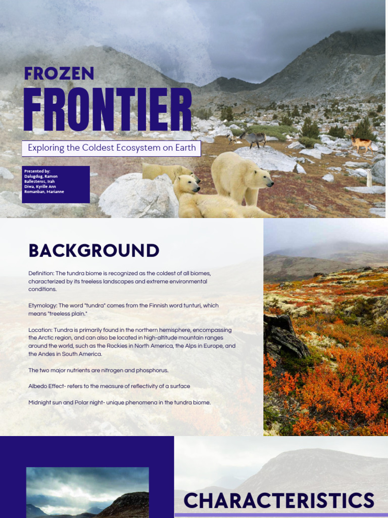 Tundra - The Coldest of All Biomes | PDF | Climate Change | Arctic