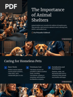 Stray Dogs Awareness Presentation | PDF | Domesticated Animals ...