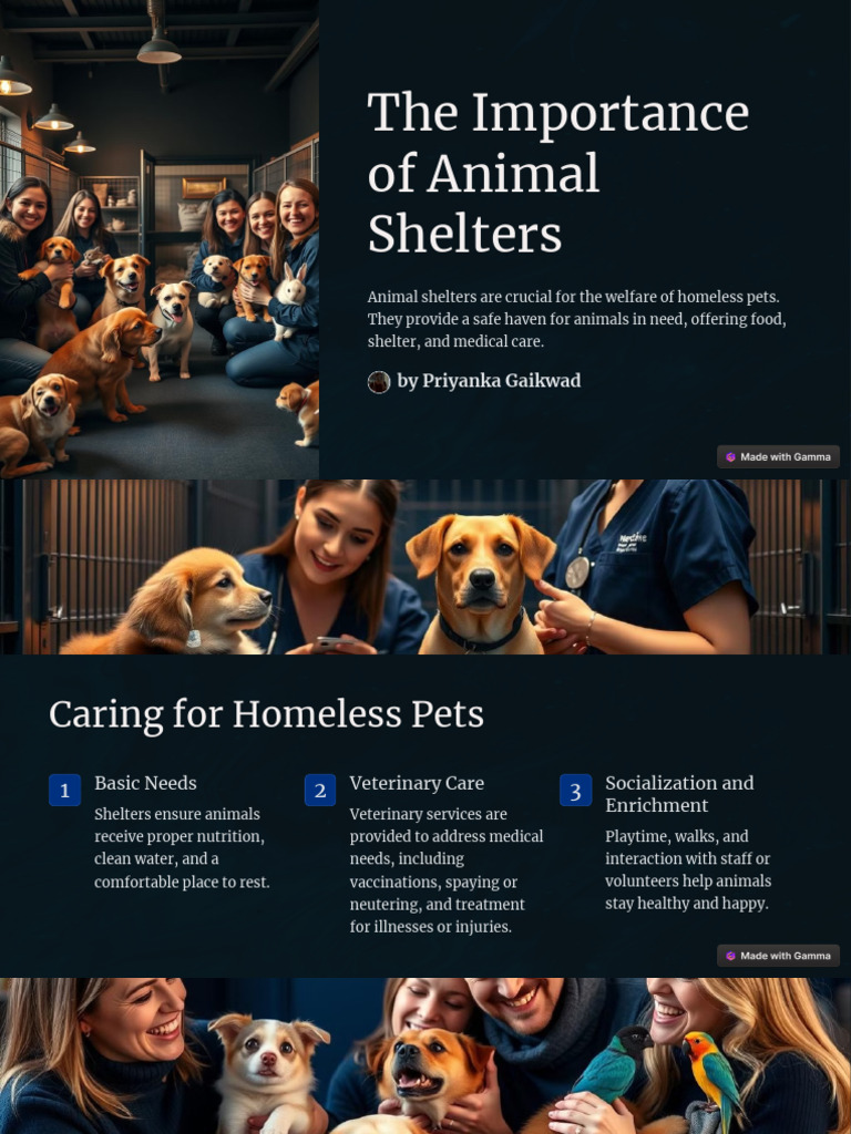 The Importance of Animal Shelters | PDF | Pet | Neutering