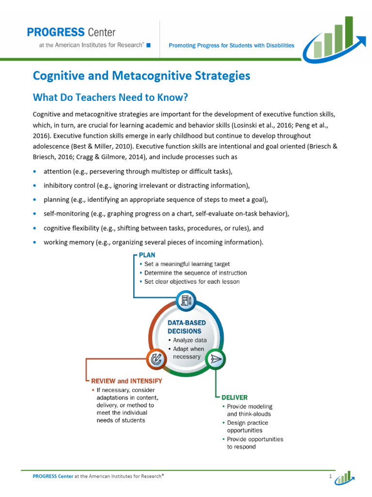 Cog MetaCog Strategies 508 | PDF | Metacognition | Executive Functions