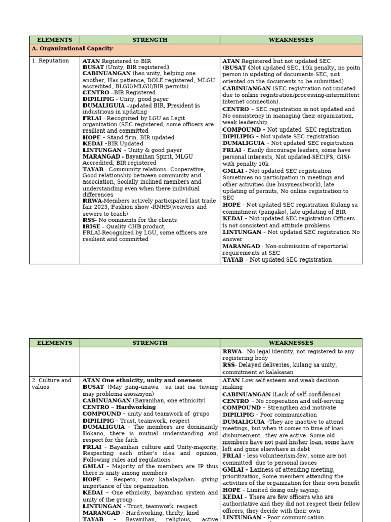 Cbo Swot Analysis | PDF | Interest | Microcredit