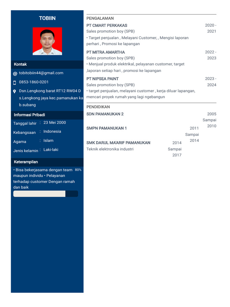 CV - 2024-11 Tobiin | PDF