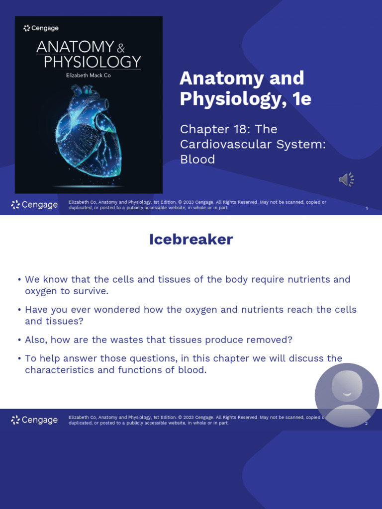 Co A&p 1e PPT CH18 Revise p2 | PDF | Coagulation | White Blood Cell