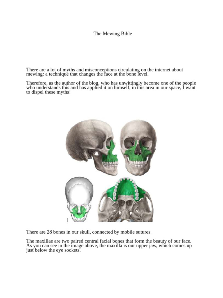 Mewing Guide for Facial Transformation | PDF | Skull | Tongue