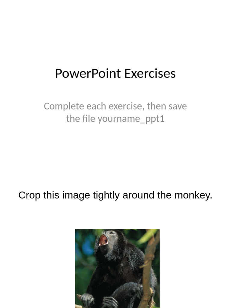 AhmedAli ppt1 | PDF | Computers