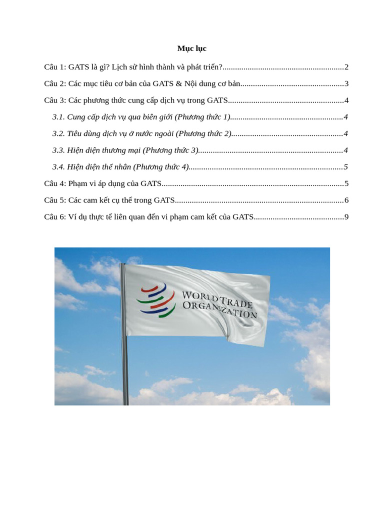 Chap 1 GATS | PDF