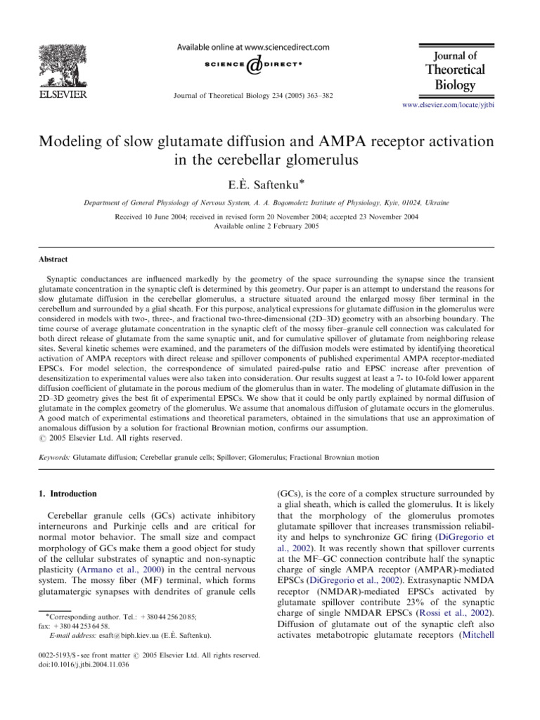 Modeling AMPA | PDF | Synapse | Cerebellum
