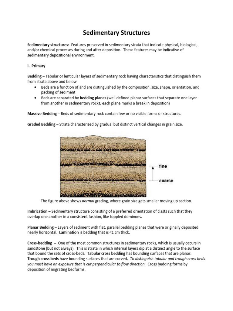 Sedimentary Structures | PDF | Sedimentary Rock | Sedimentology