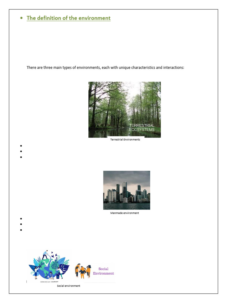 The Definition of The Environment | PDF