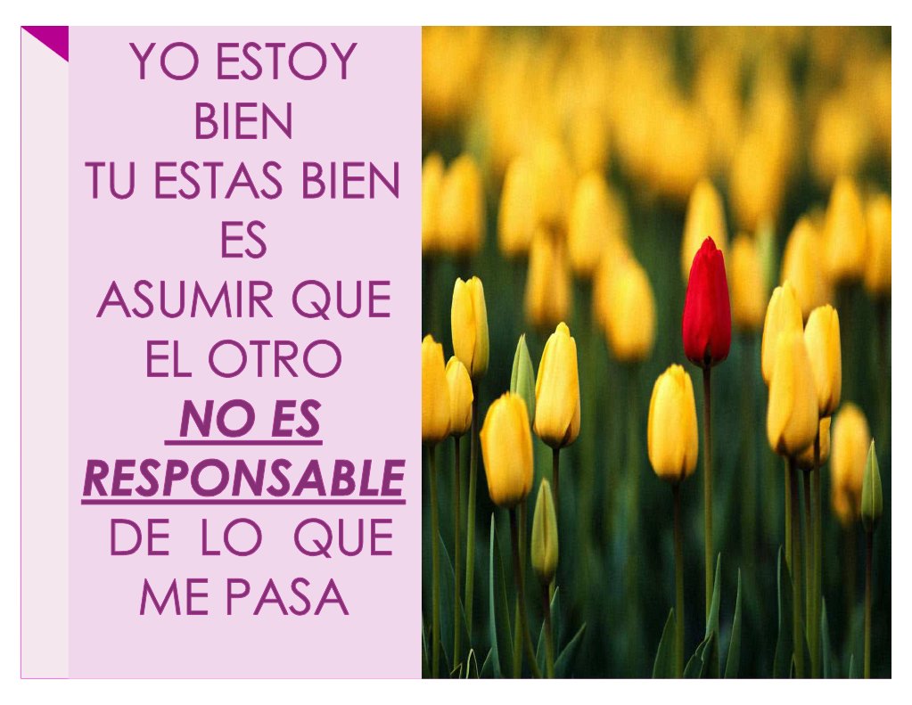 Yo Estoy Bien Tu Estas Bien | PDF