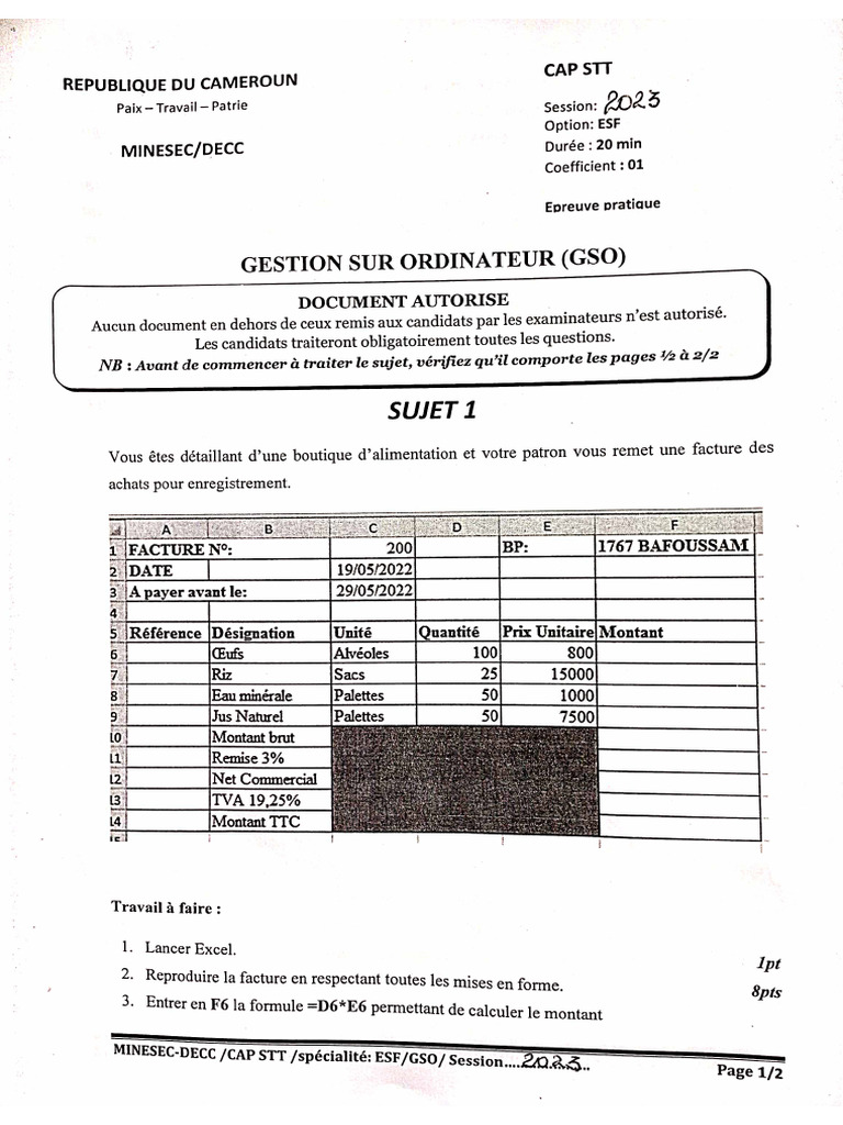 Cap Esf Gso 2023 | PDF