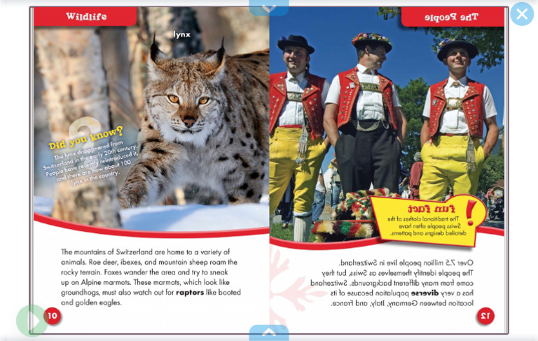 Epic - Books For Kids | PDF