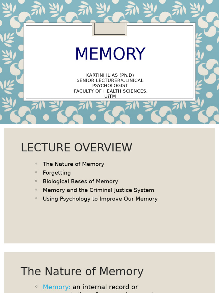03 Memory | PDF | Memory | Long Term Memory