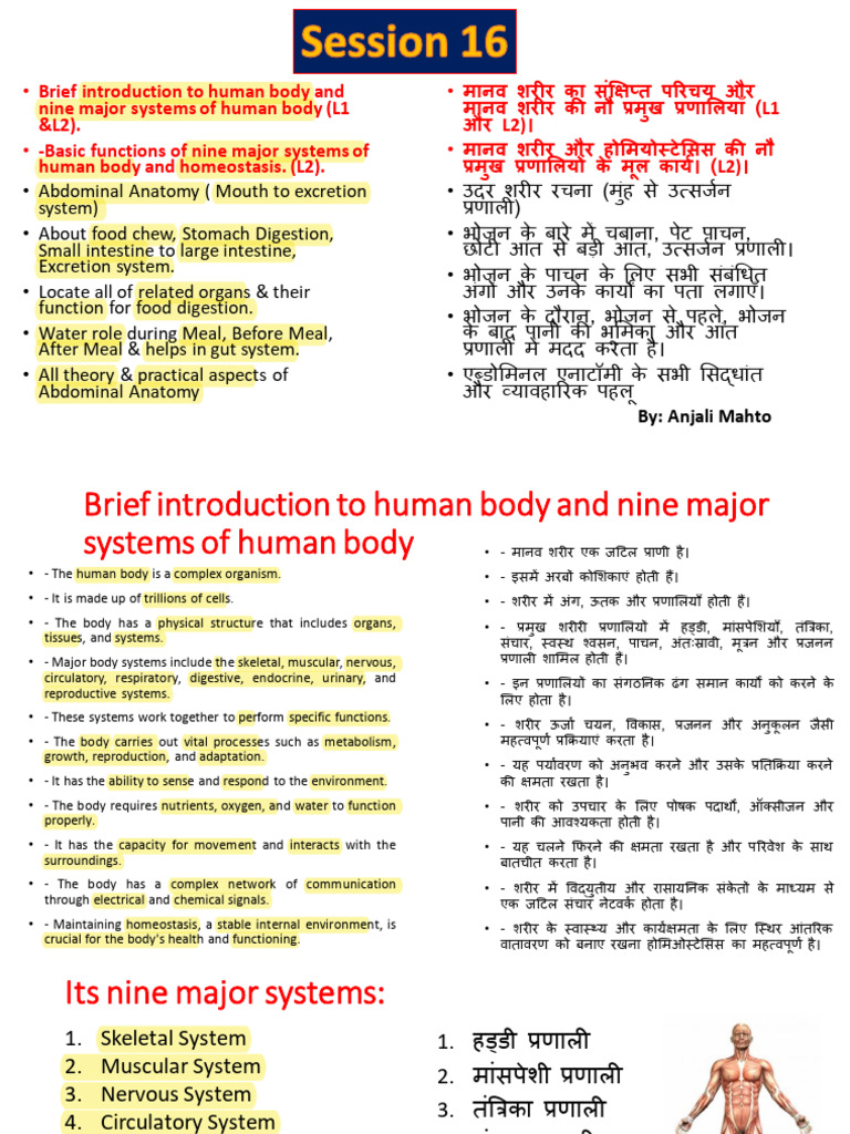 Session 16 PDF | PDF