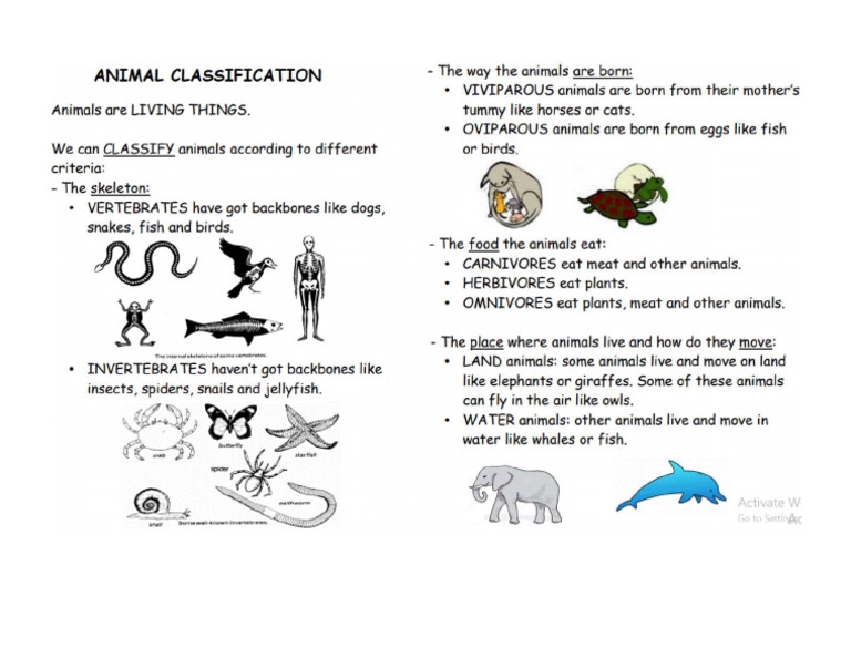 Animal Classification NOTEBOOK | PDF