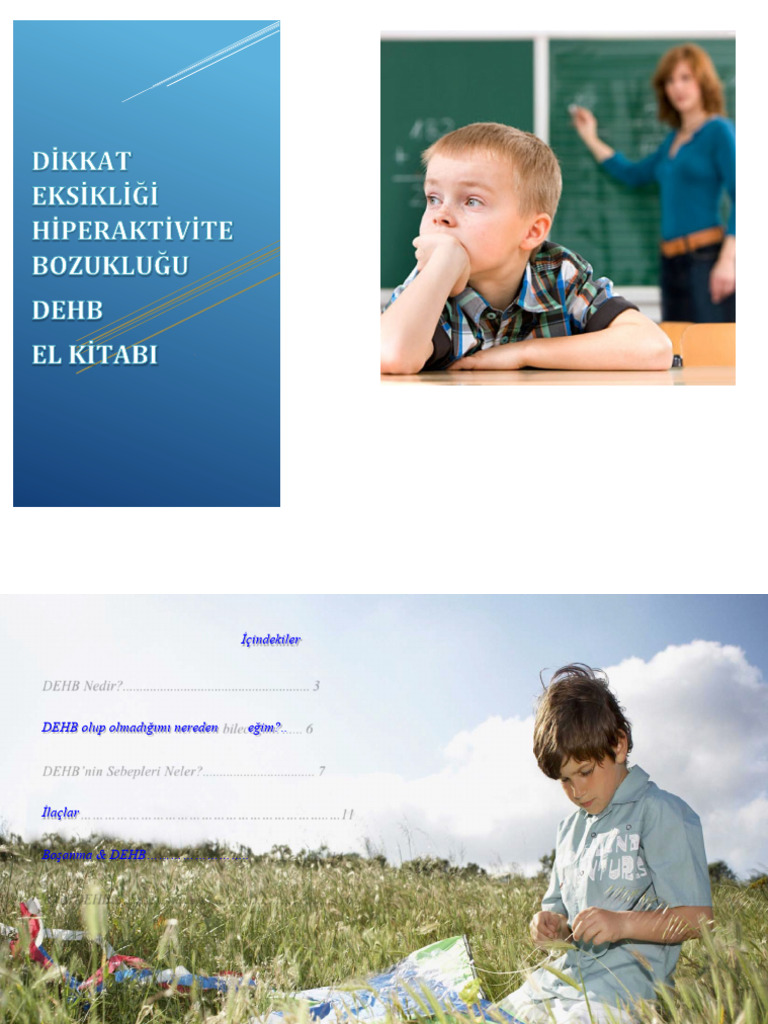 Dikkat Eksikligi Ve Hiperaktivite | PDF