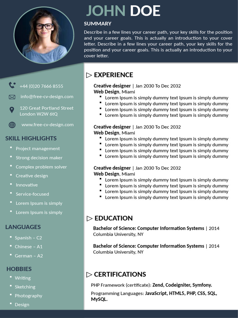 Free CV Design - Com Cv9 A4 | PDF | Software Engineering | Software Development