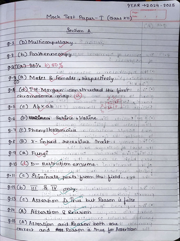 Mock Paper 1 - 2024-25 | PDF