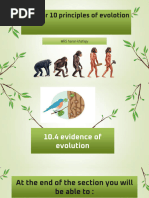 Evolution Evidence of Answer Key | PDF | Homology (Biology) | Evolution