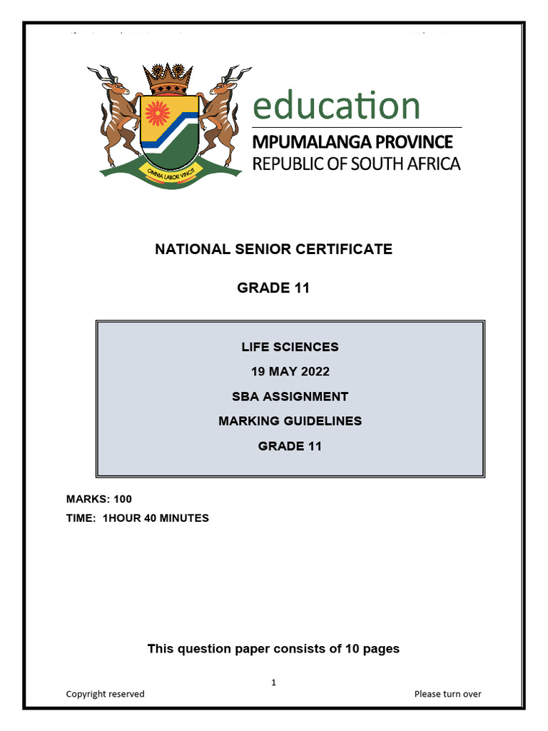 Grade 11 Life Sciences Assignment Guide | PDF | Plants