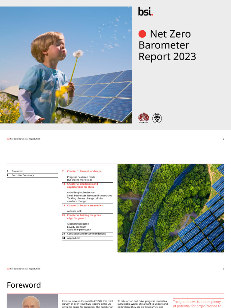 BSI Net Zero Barometer Report 2023 4.1 | PDF | Cost Of Living | Climate ...