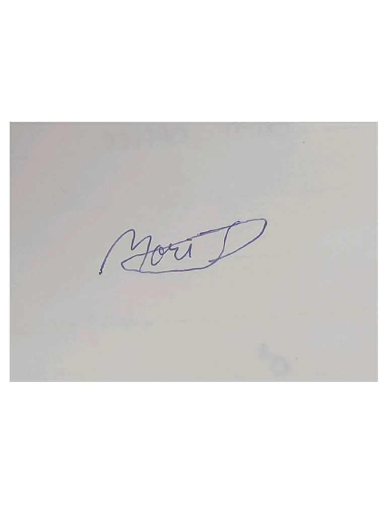 Signature 1 | PDF